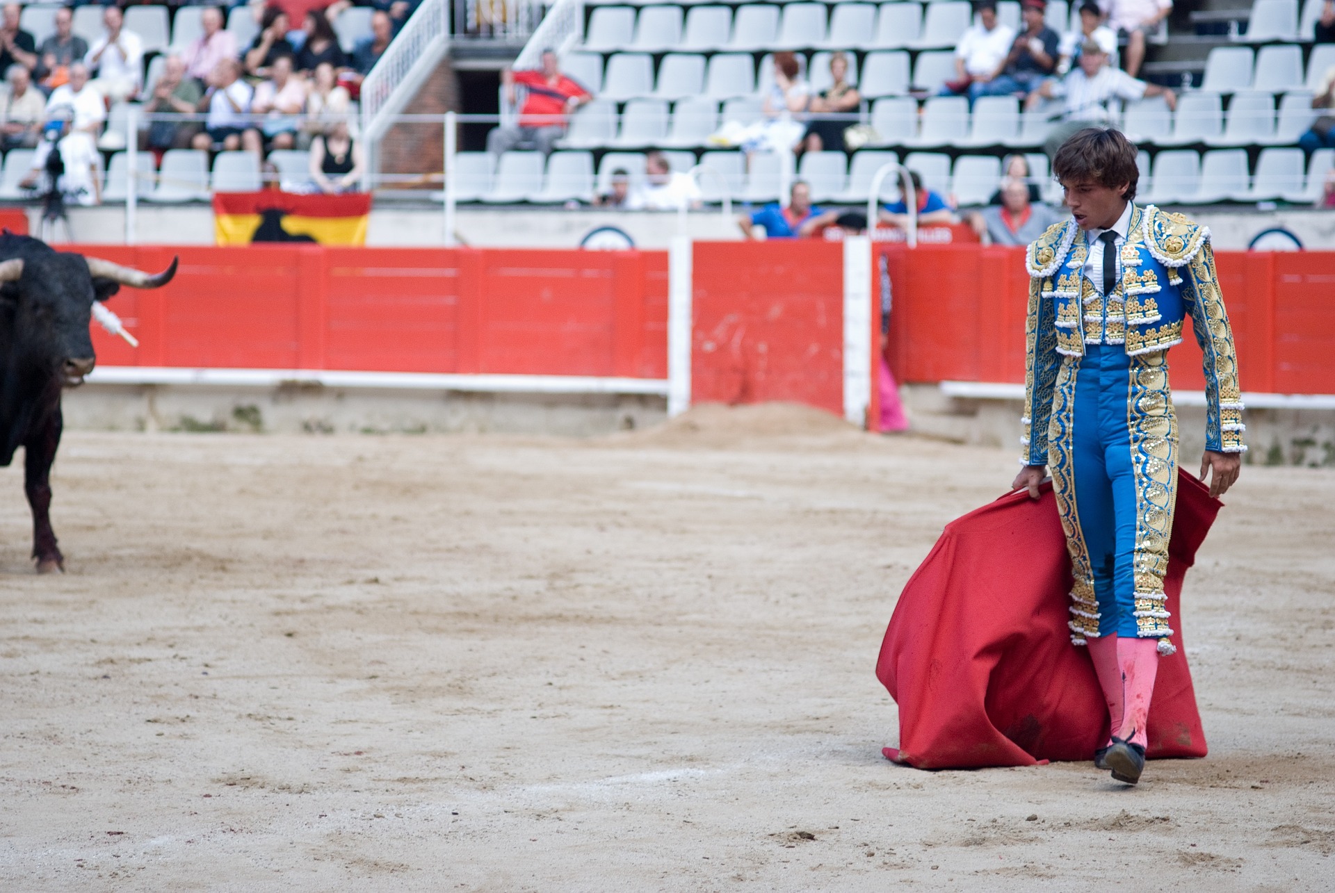 The different stages of a bullfight in Madrid and what to look out for ...