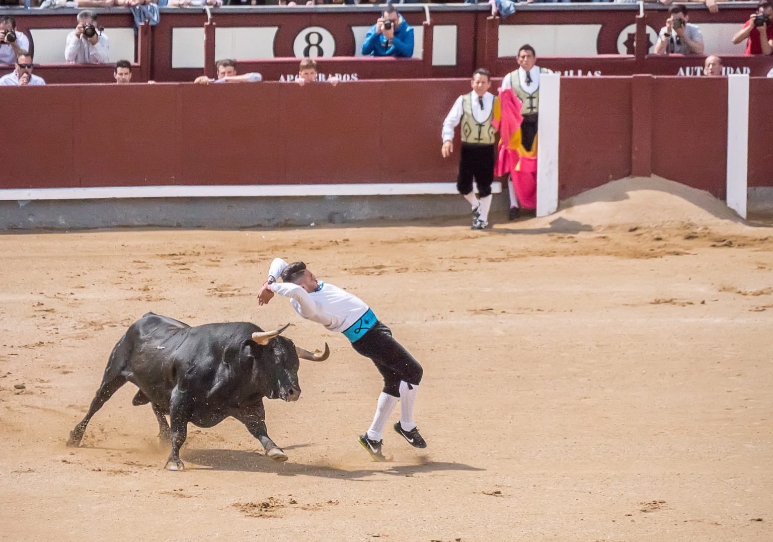 The different types of passes and techniques used by bullfighters in ...