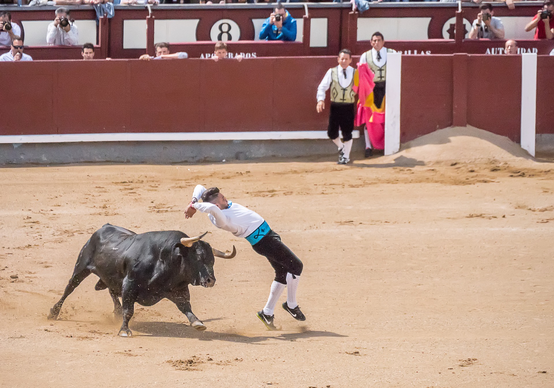 The different types of passes and techniques used by bullfighters in ...