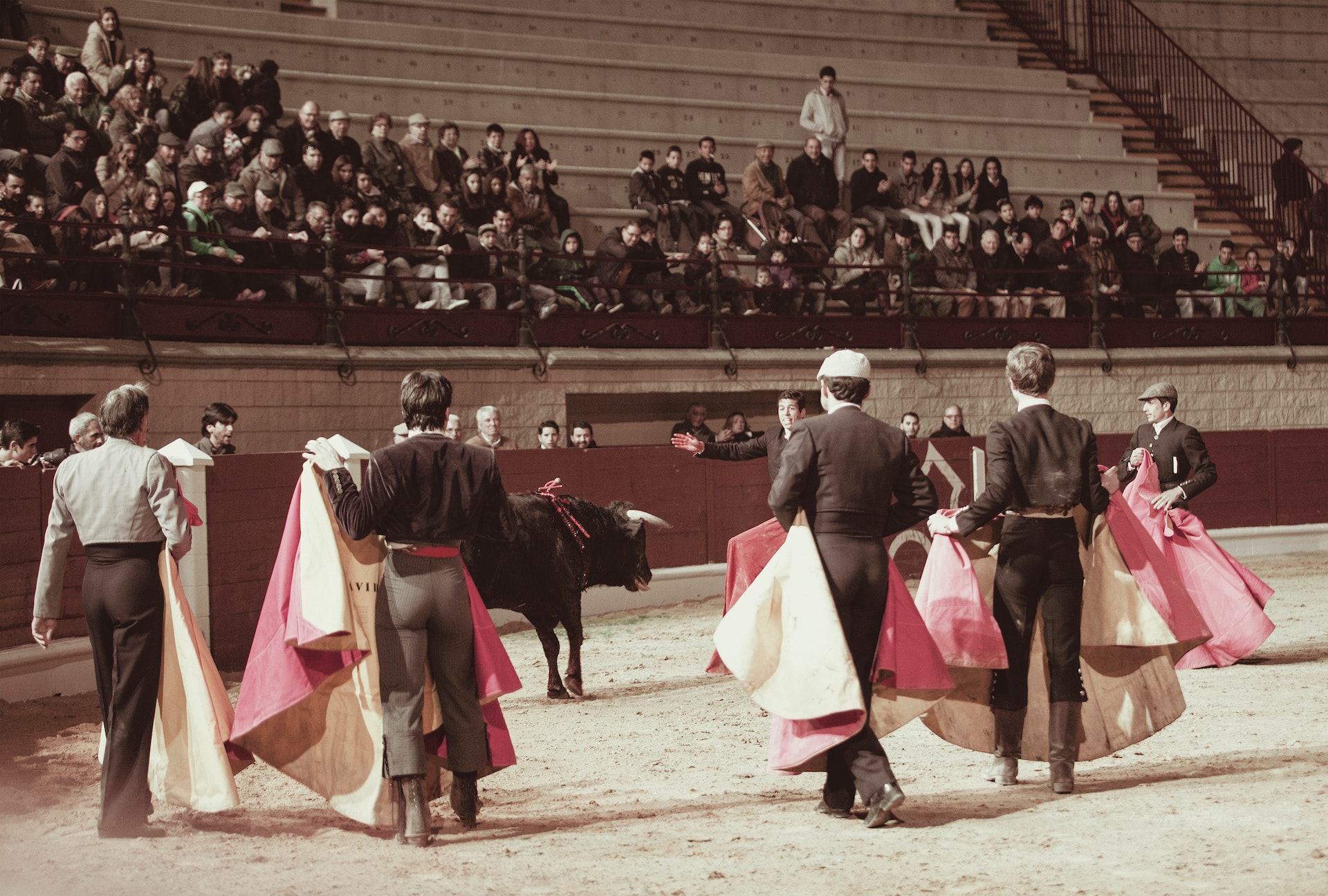 Rules of bullfighting in Madrid