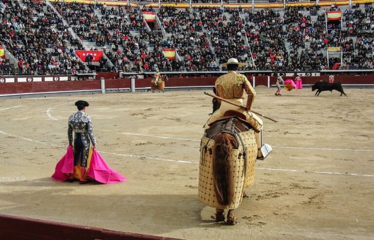 How Does Bullfighting Work?
