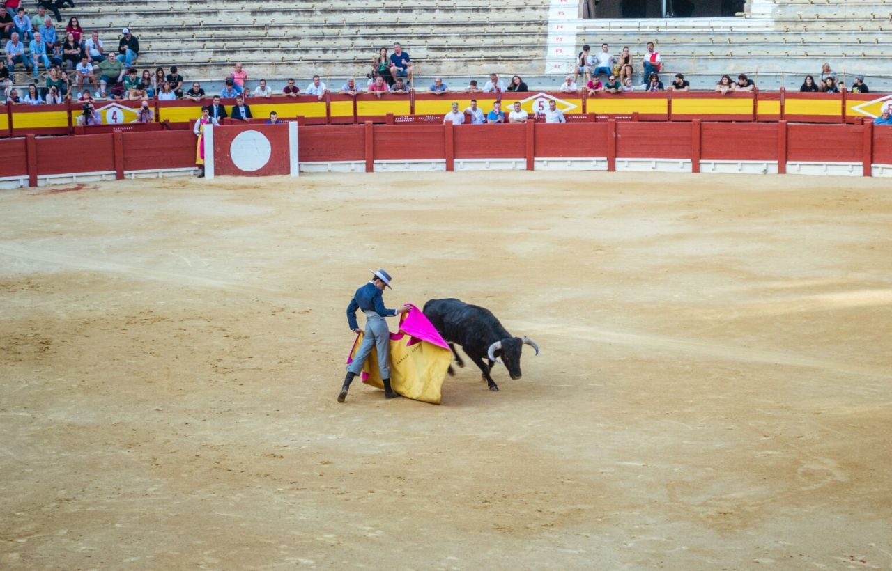 Bullfighting in Madrid: Tips for beginners