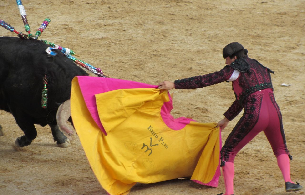 The controversies surrounding bullfighting in modern times