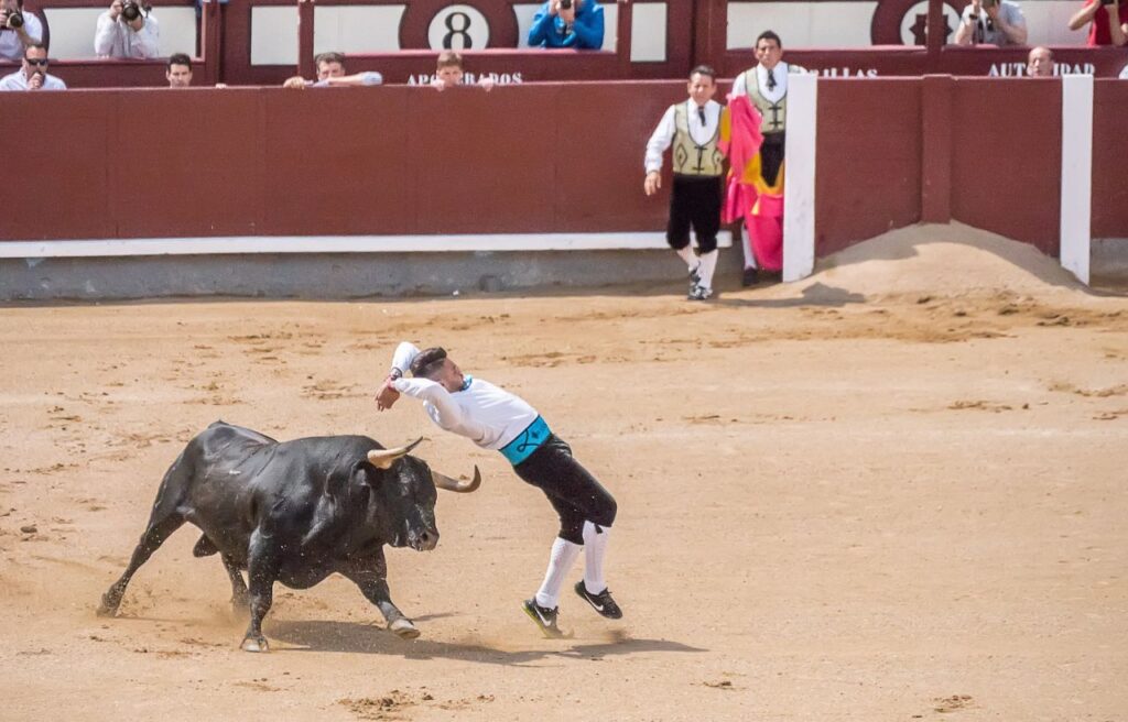 The importance of bravery and courage in Madrid bullfighting