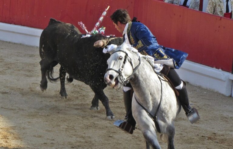 The role of the picador in Madrid bullfighting and why they use horses
