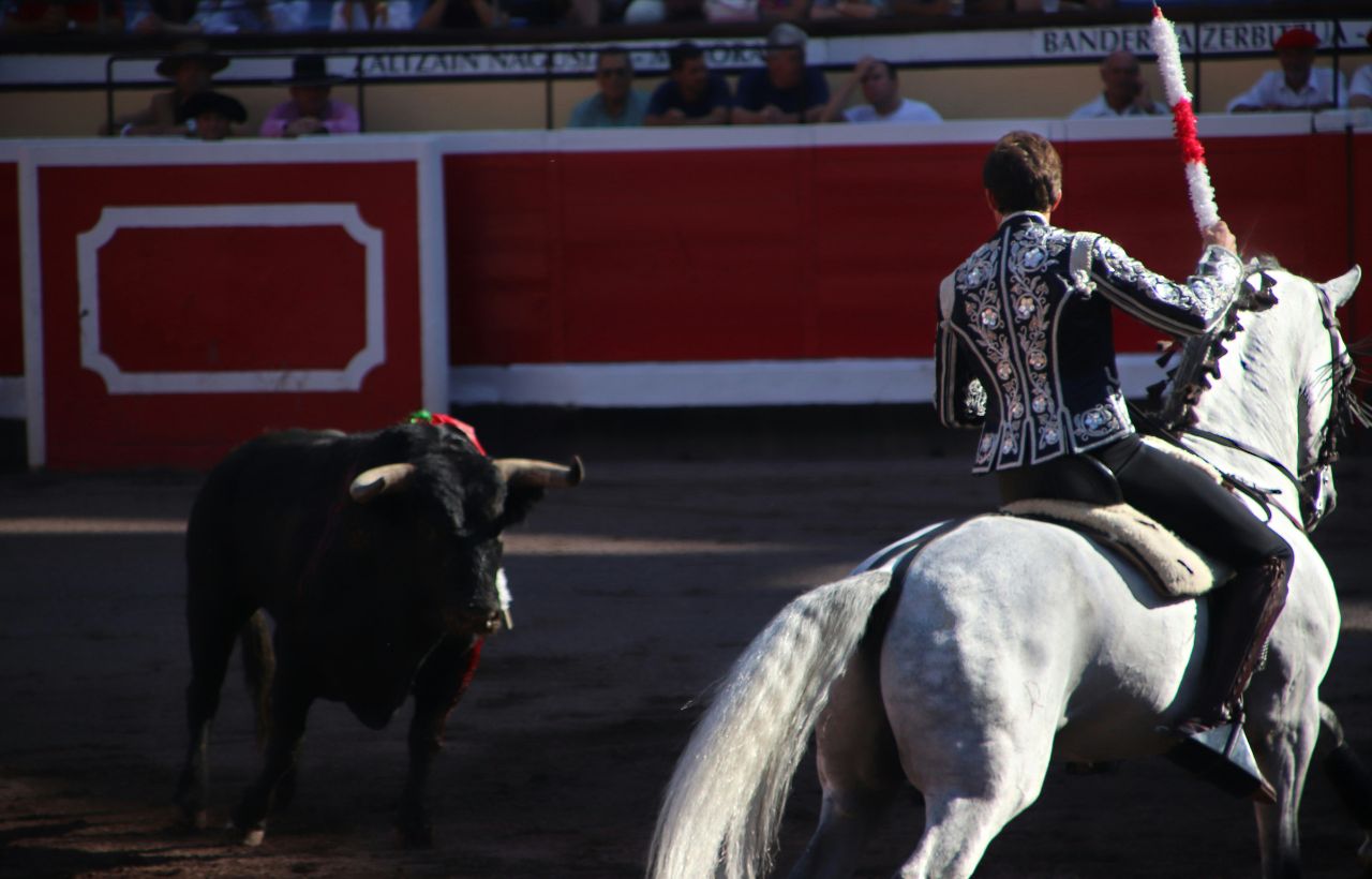 The different types of passes and techniques used by bullfighters in ...