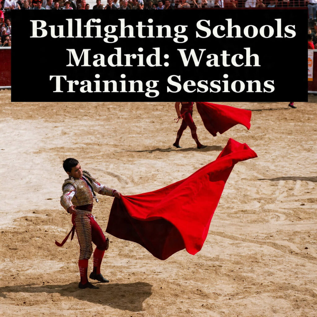Bullfighting Schools Madrid: Watch Training Sessions